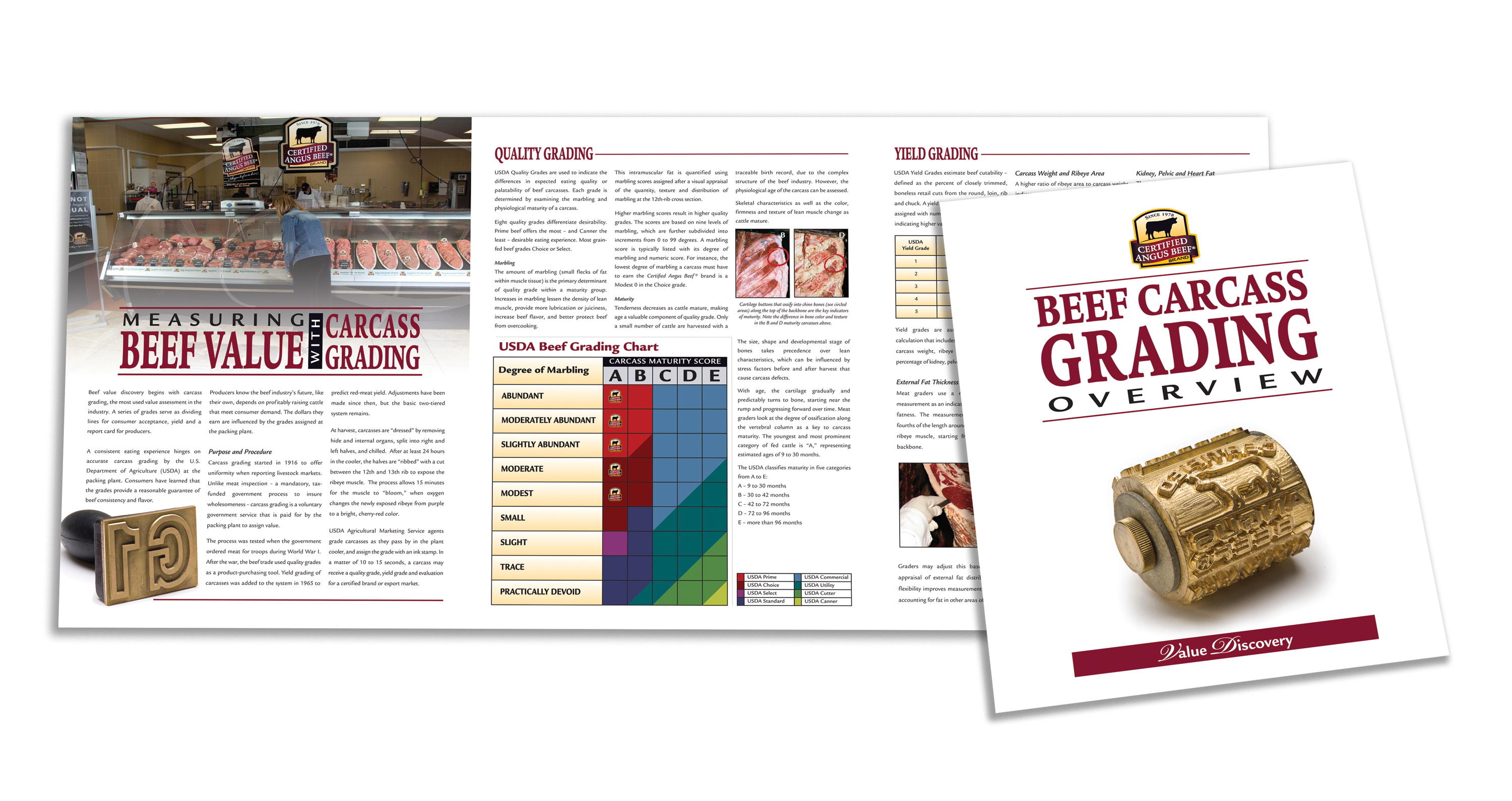 Beef Grading Explained Cab Cattle